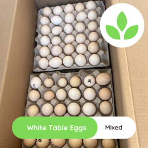 White Table Eggs – Mixed Sizes for Bakeries, Restaurants, and Catering